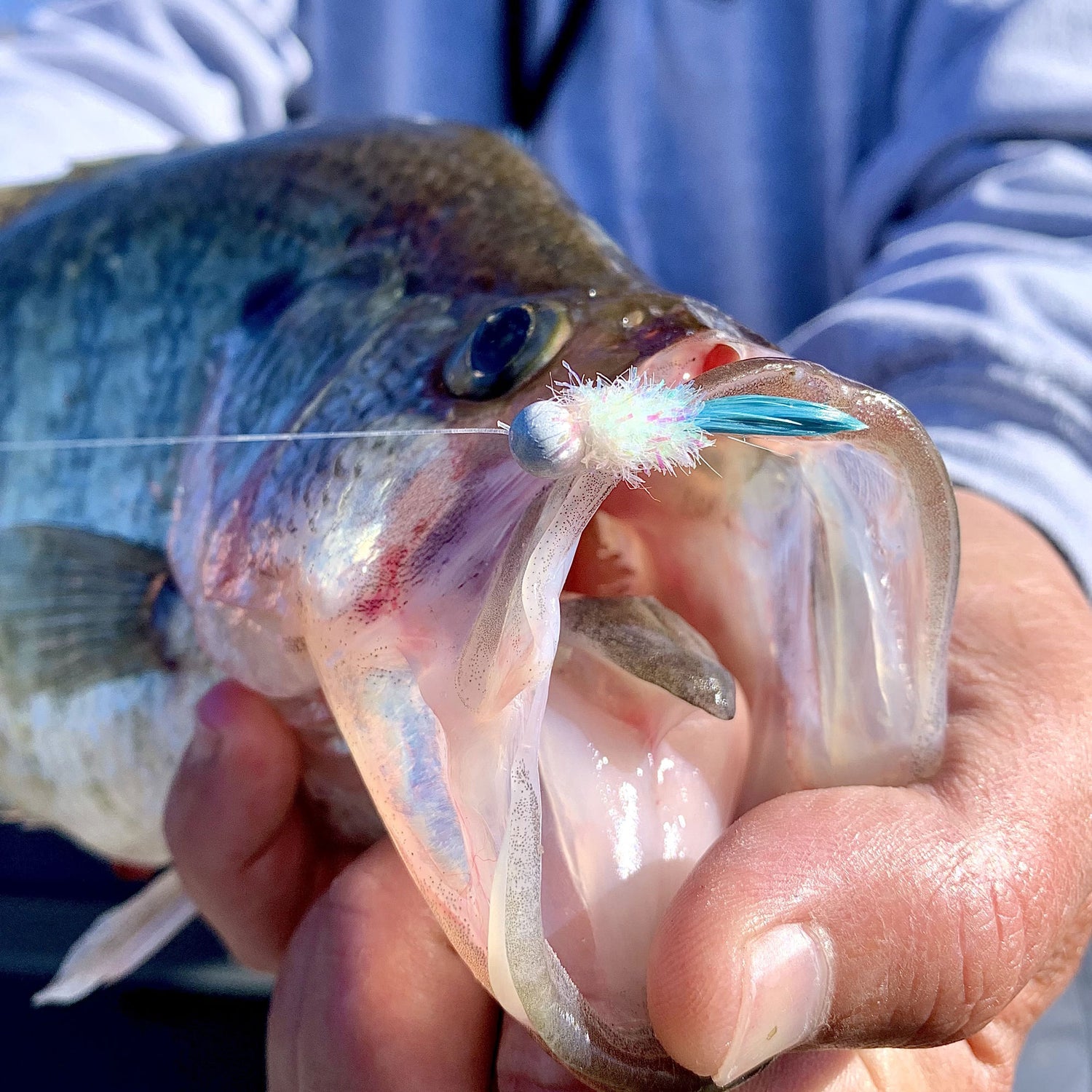 MEDIA – Crappie Machine